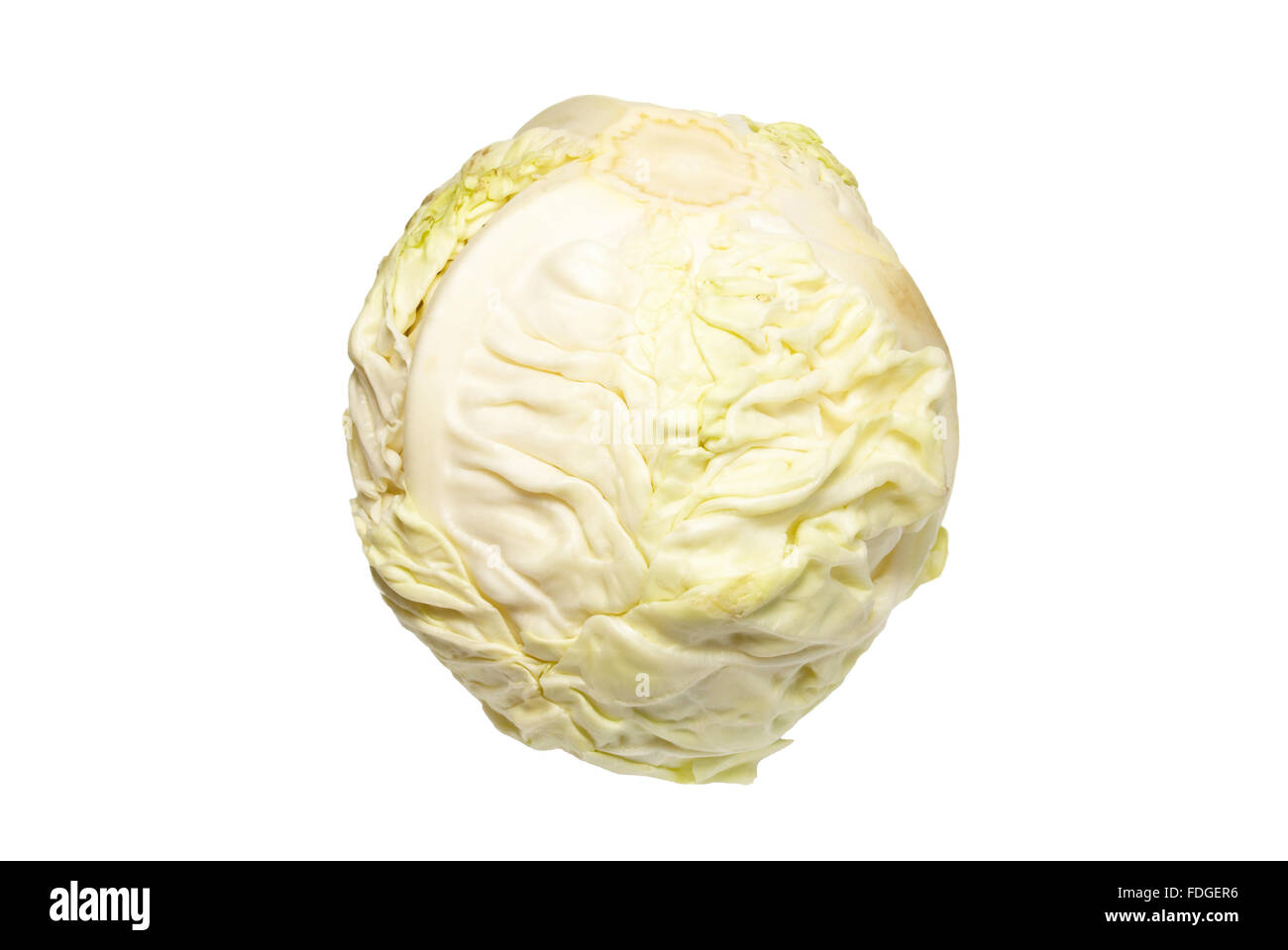 Cabbage isolated on white Stock Photo - Alamy