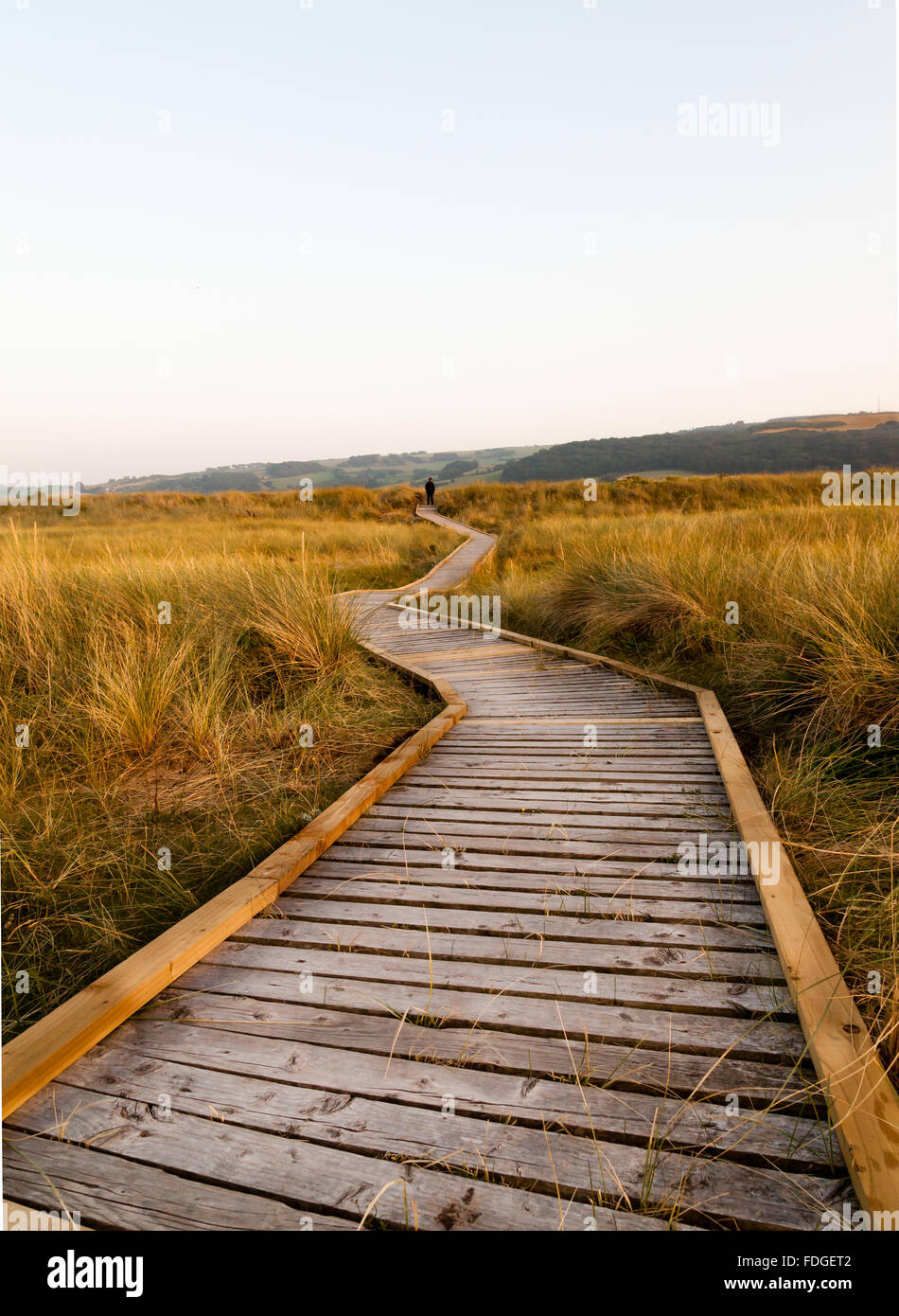 Late summer evening at wildlife conservation area. Gronant Dunes ...