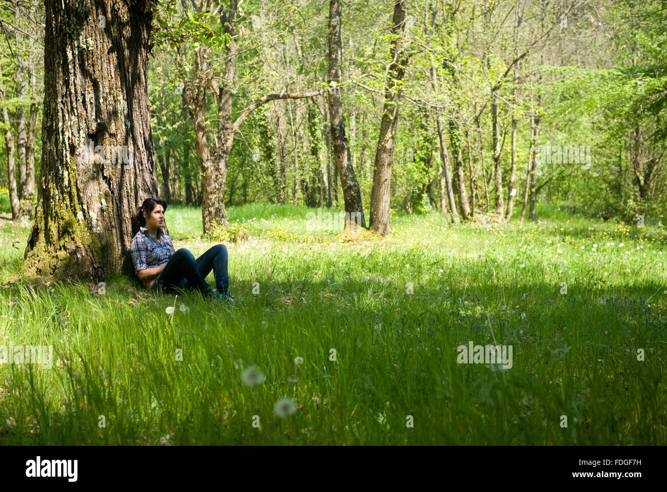 Teenage girl relaxing under a tree Stock Photo - Alamy