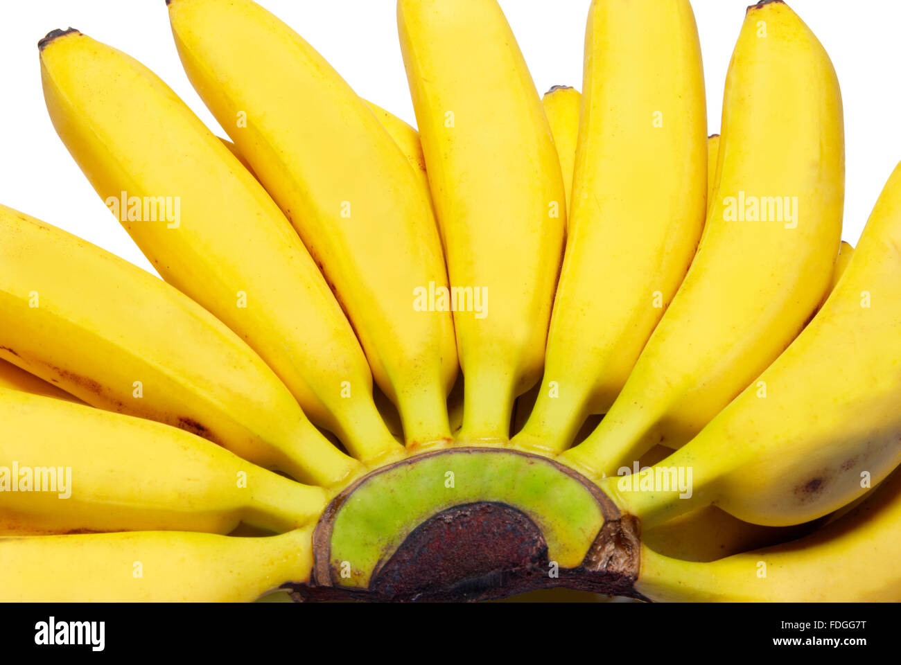 Butch of small bananas Stock Photo - Alamy