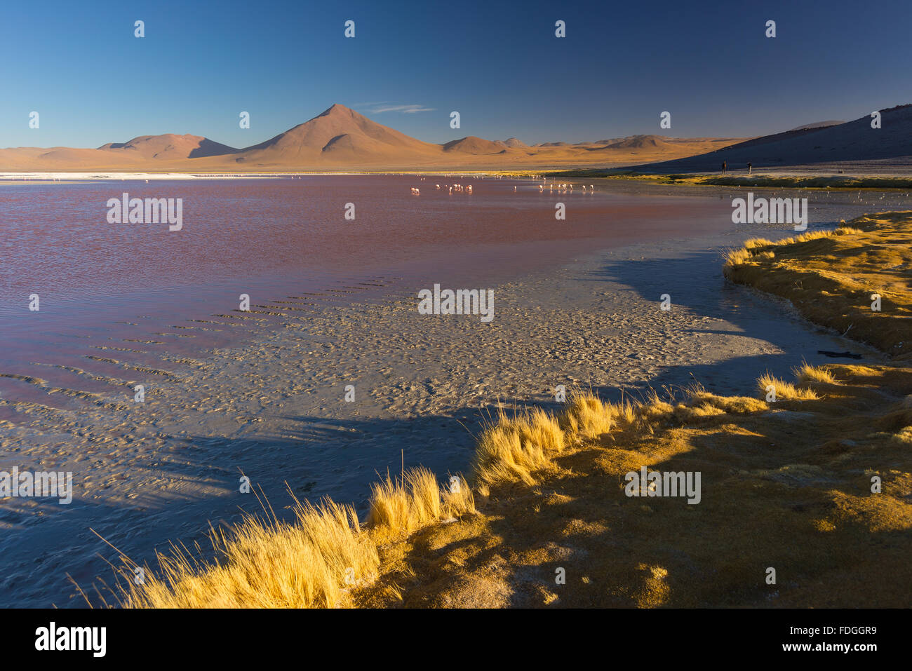 Wide angle view of "Laguna Colorada", Multicolored Salt Lake with ...