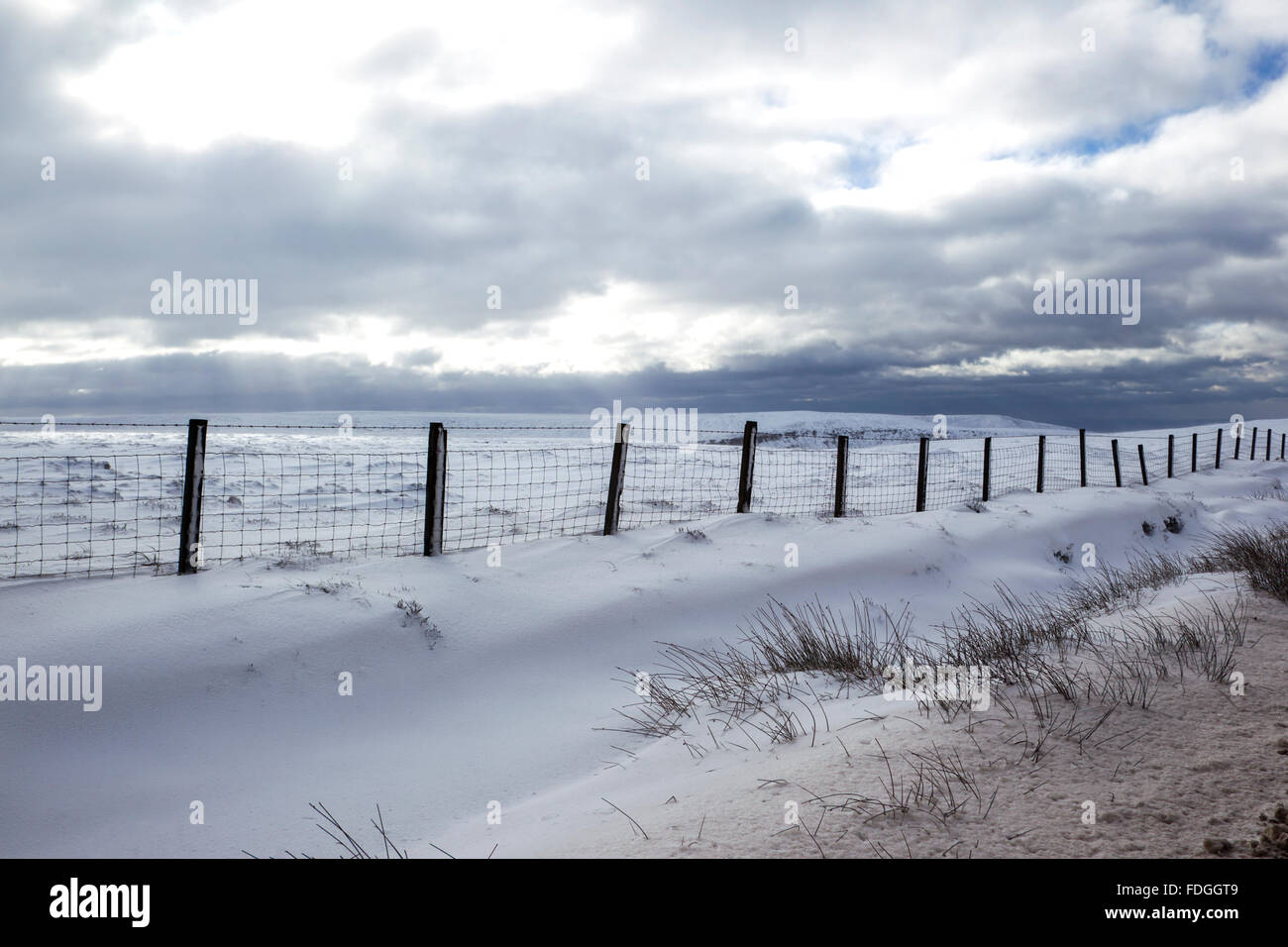 Desolate scene hi-res stock photography and images - Alamy