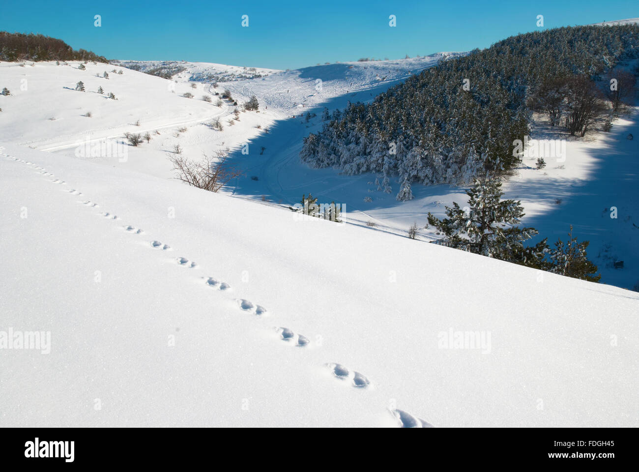 Winter, deep snow and footprints Stock Photo - Alamy