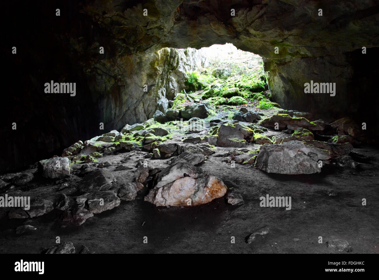 Exit from the cave Stock Photo - Alamy