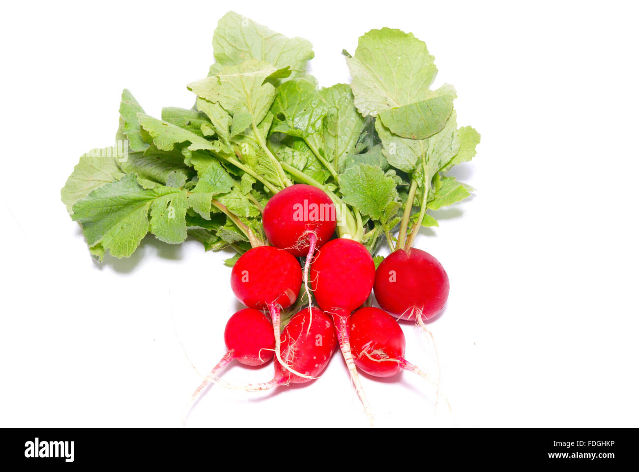 Bunch of red radish isolated on white Stock Photo - Alamy