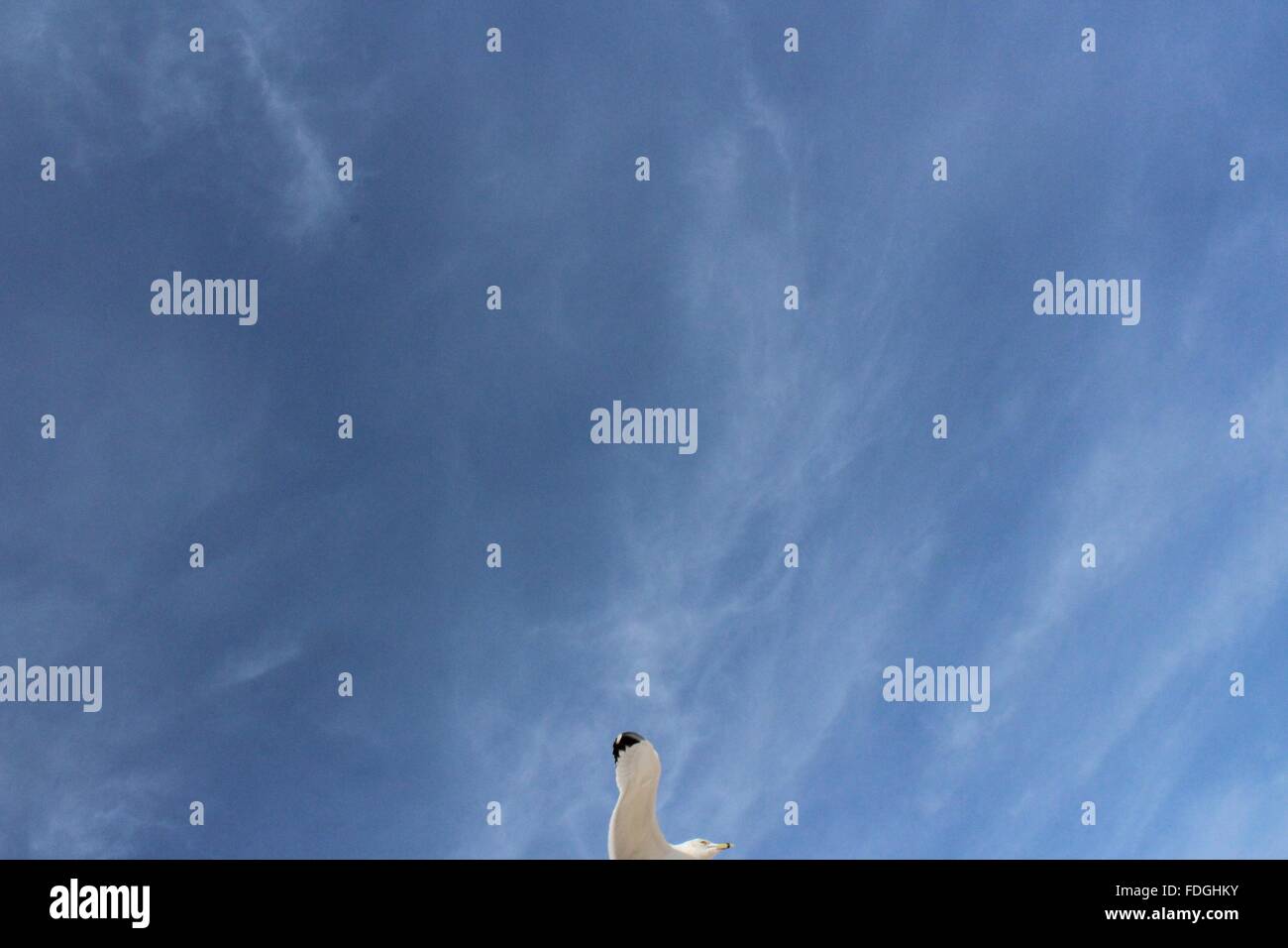 Bluey sky hi-res stock photography and images - Alamy
