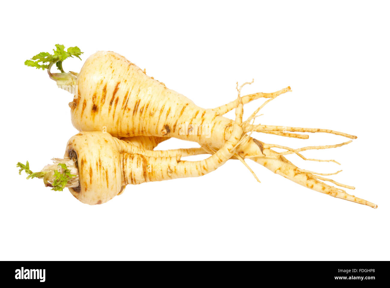 Single parsnip hi-res stock photography and images - Alamy