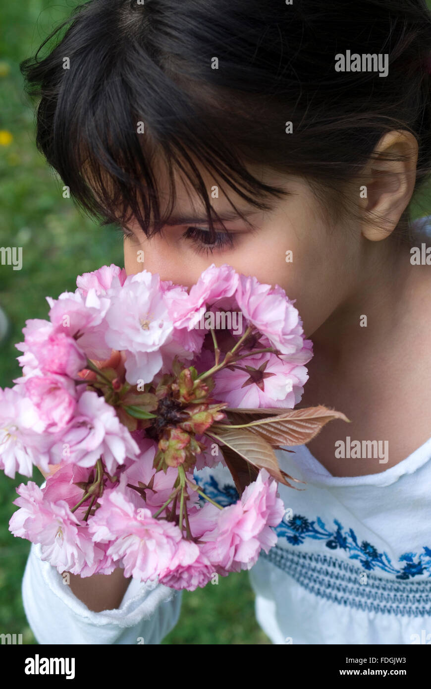 Girl smelling pink flowers of fruit tree Stock Photo - Alamy