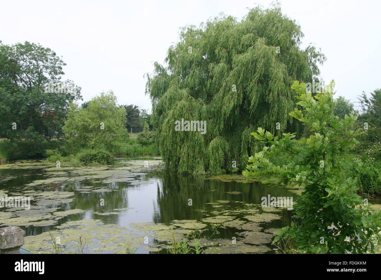 Layer Marney Tower Stock Photo - Alamy