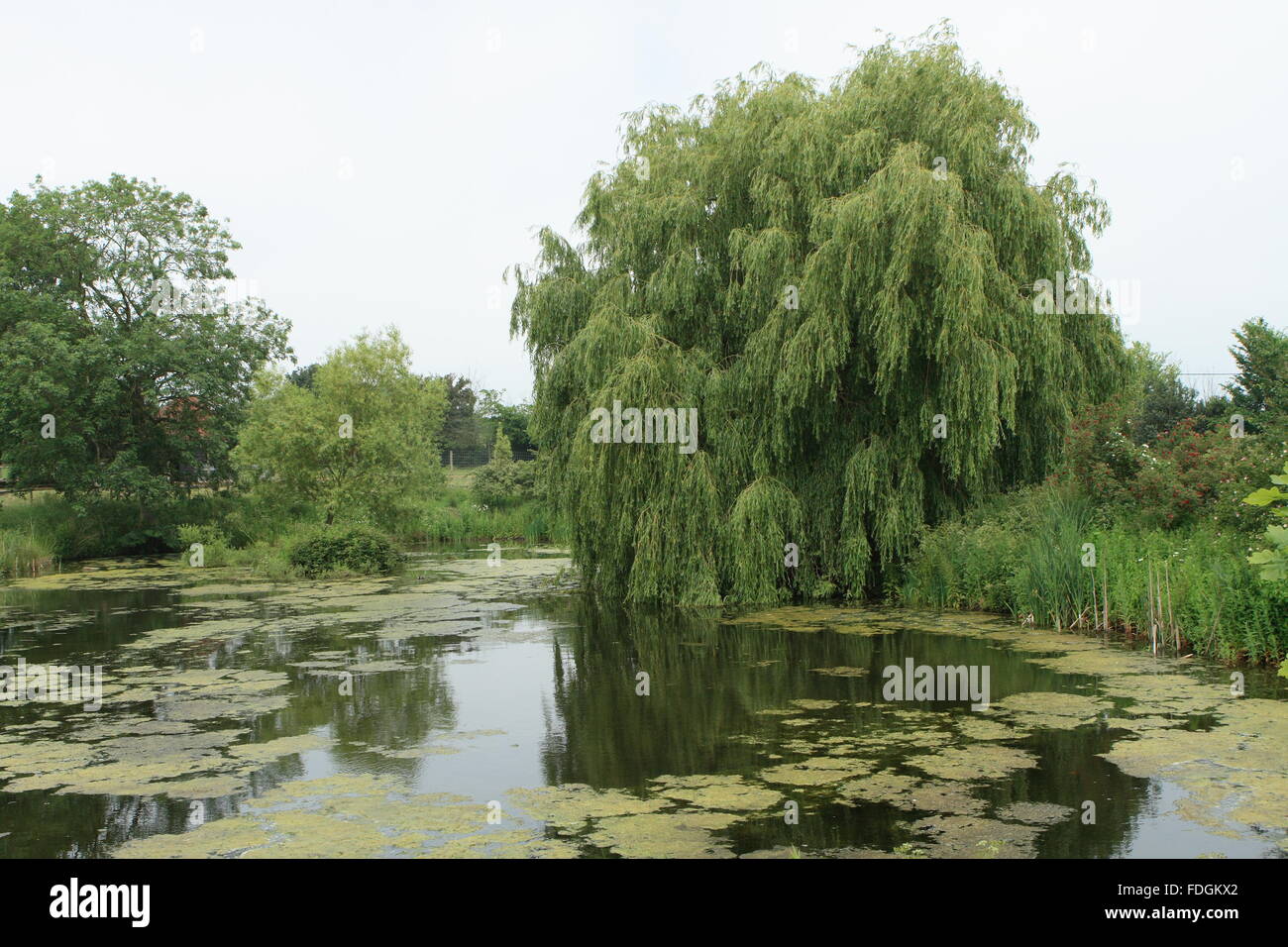 Layer marney essex england hi-res stock photography and images - Alamy