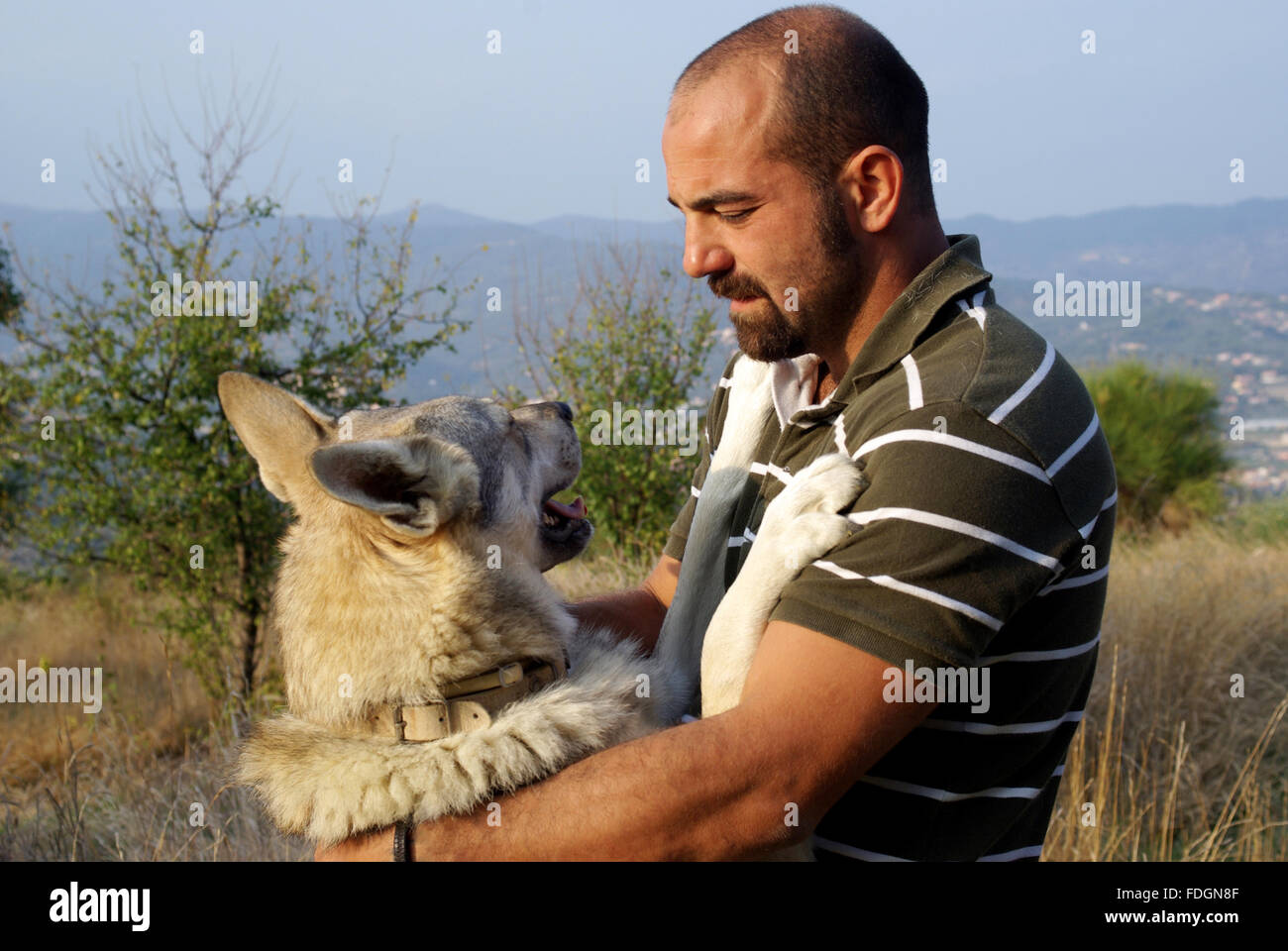 Man and his best friend purebred Czechoslovakian wolf dog Stock Photo ...
