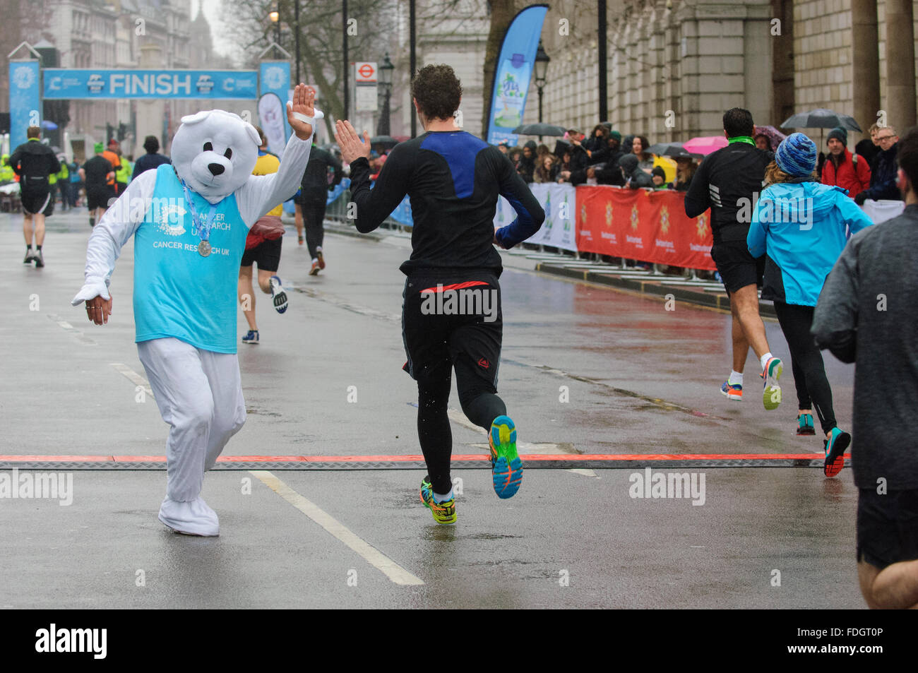 Run runner bear hi-res stock photography and images - Alamy