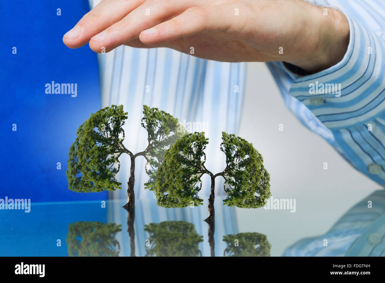 Businessman hands holding with care green tree concept Stock Photo - Alamy