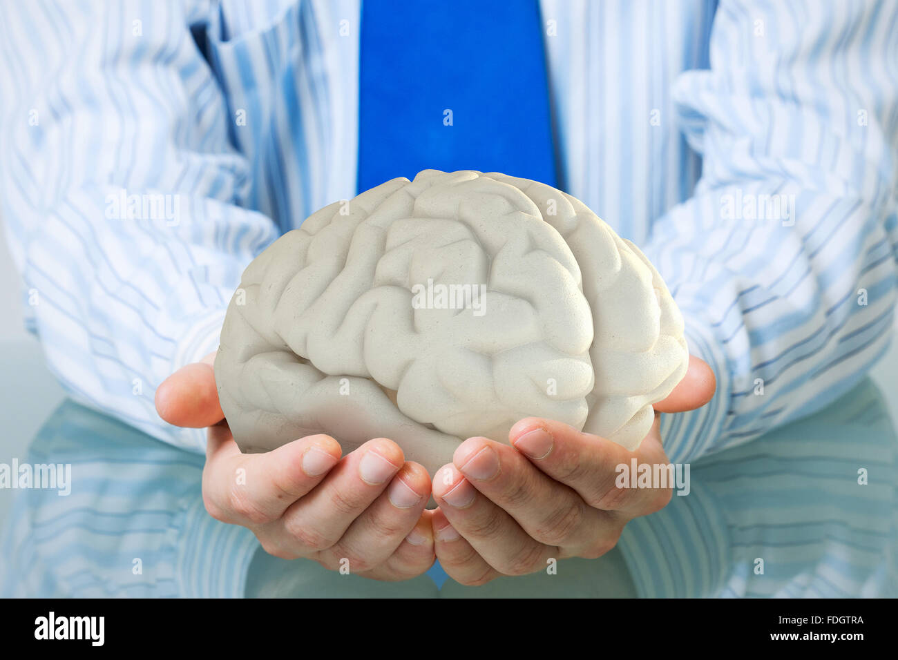 Hands of man holding with care human brain Stock Photo - Alamy