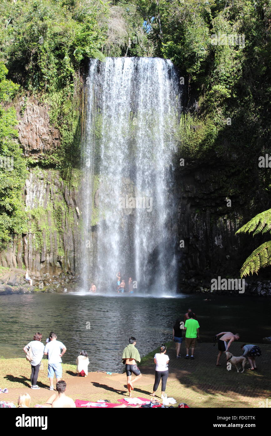Waterfall in the Australian rain forest Stock Photo - Alamy