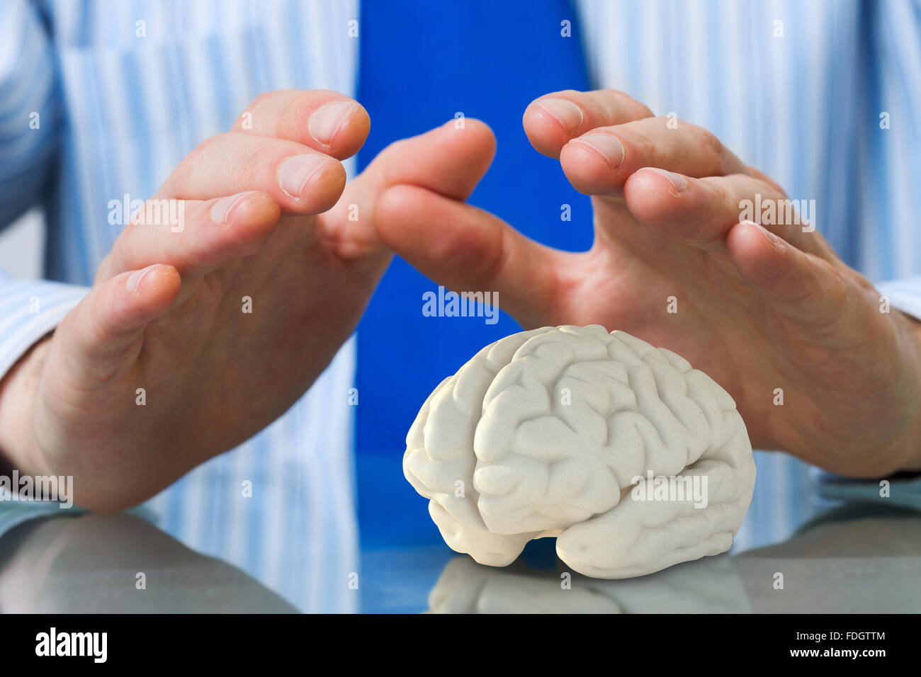 Hands of man holding with care human brain Stock Photo - Alamy