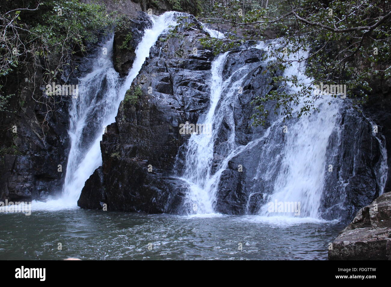 Waterfall in the Australian rain forest Stock Photo - Alamy