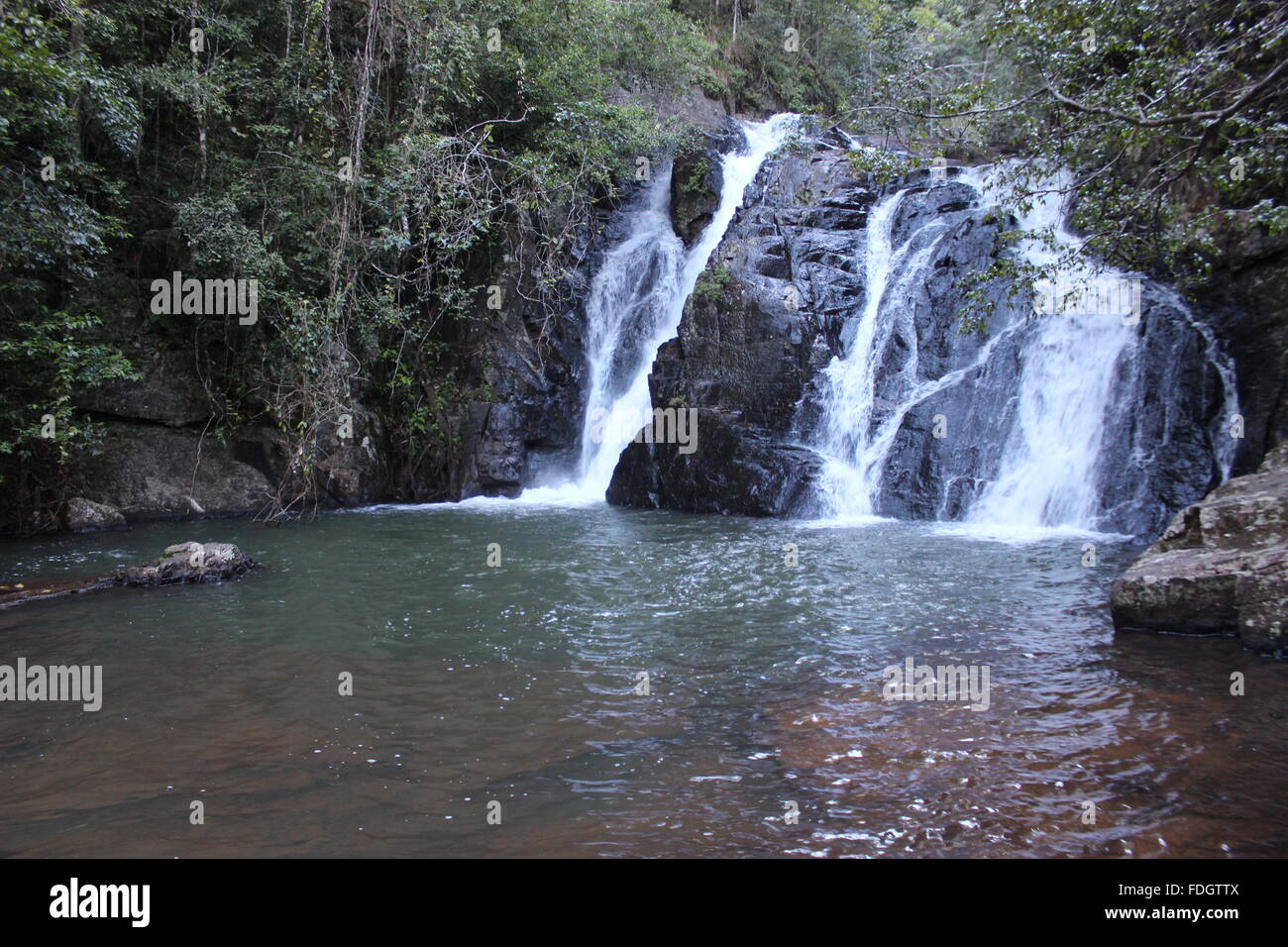 waterfall in the Australian rain forest Stock Photo - Alamy