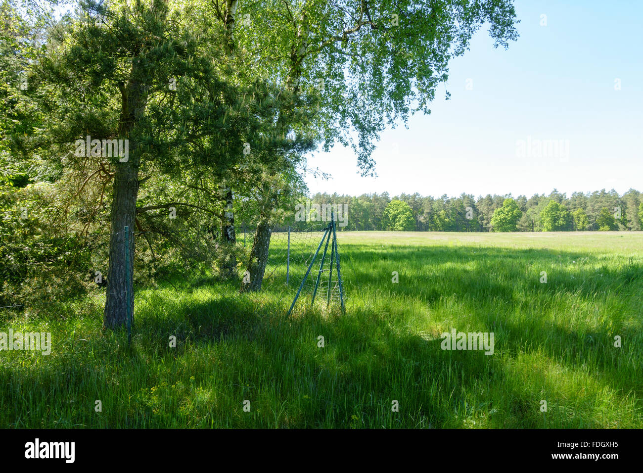 Lush green fields trees hi-res stock photography and images - Alamy