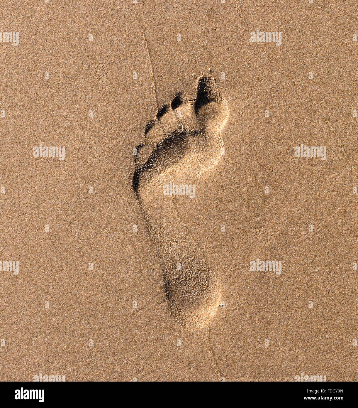 footprint on the sand surface Stock Photo - Alamy
