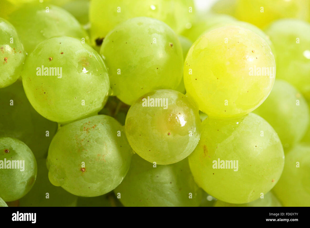 green grape background Stock Photo - Alamy