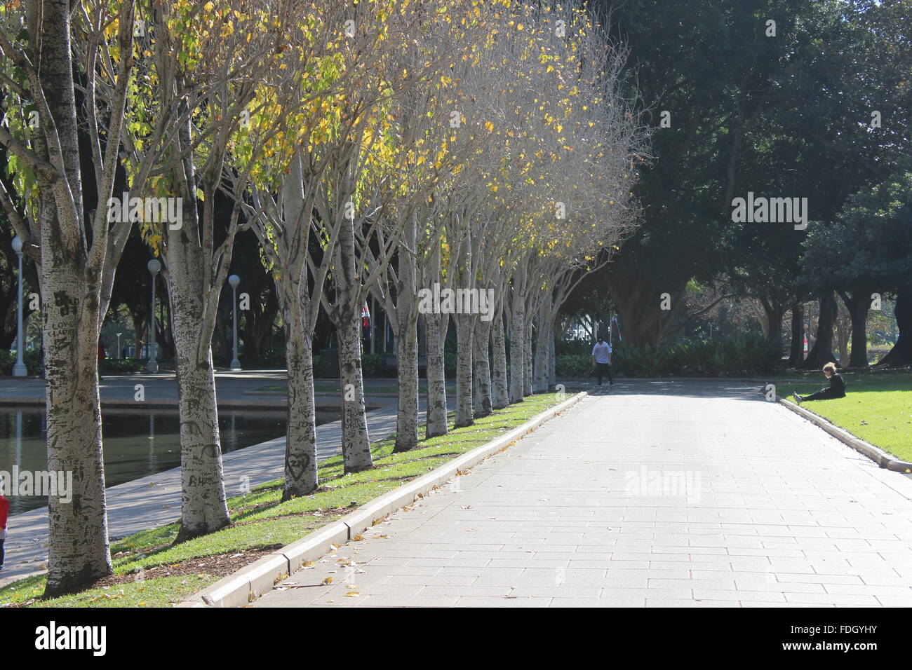 Hyde park in Sydney, Australia Stock Photo - Alamy