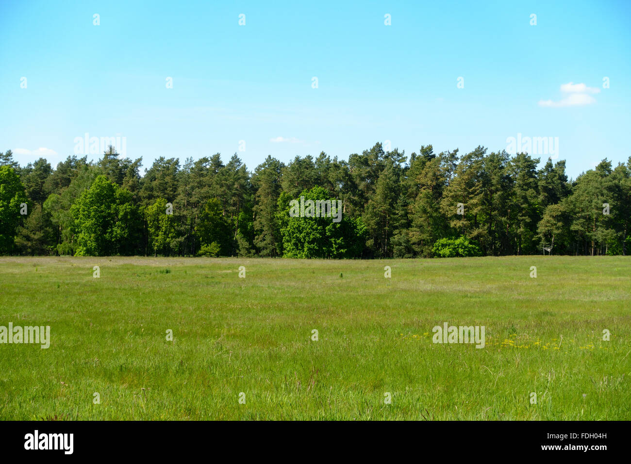 Treeline field hi-res stock photography and images - Alamy