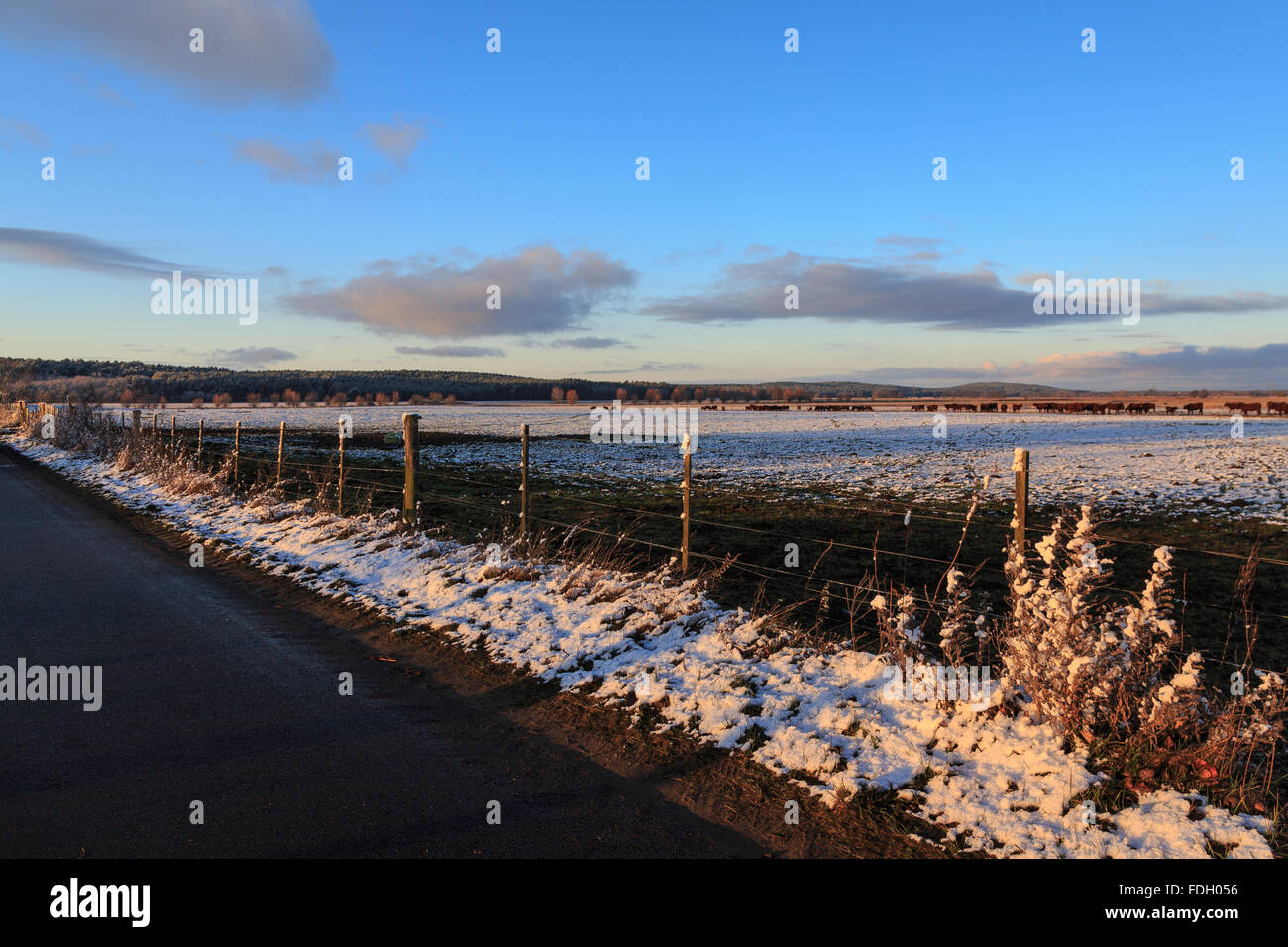Beautiful winter road seen from hi-res stock photography and images - Alamy