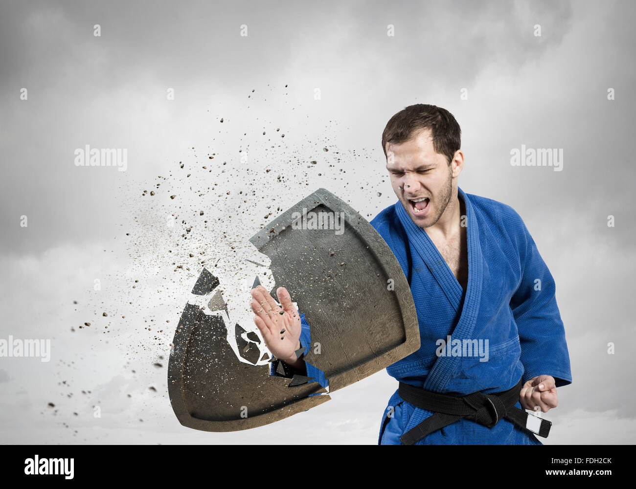 Young determined karate man breaking concrete shield Stock Photo - Alamy