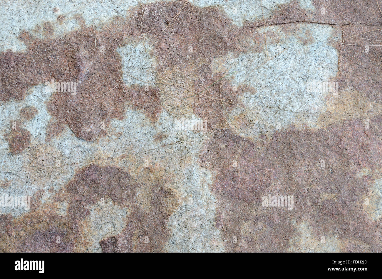 Closeup surface uneven natural hi-res stock photography and images - Alamy