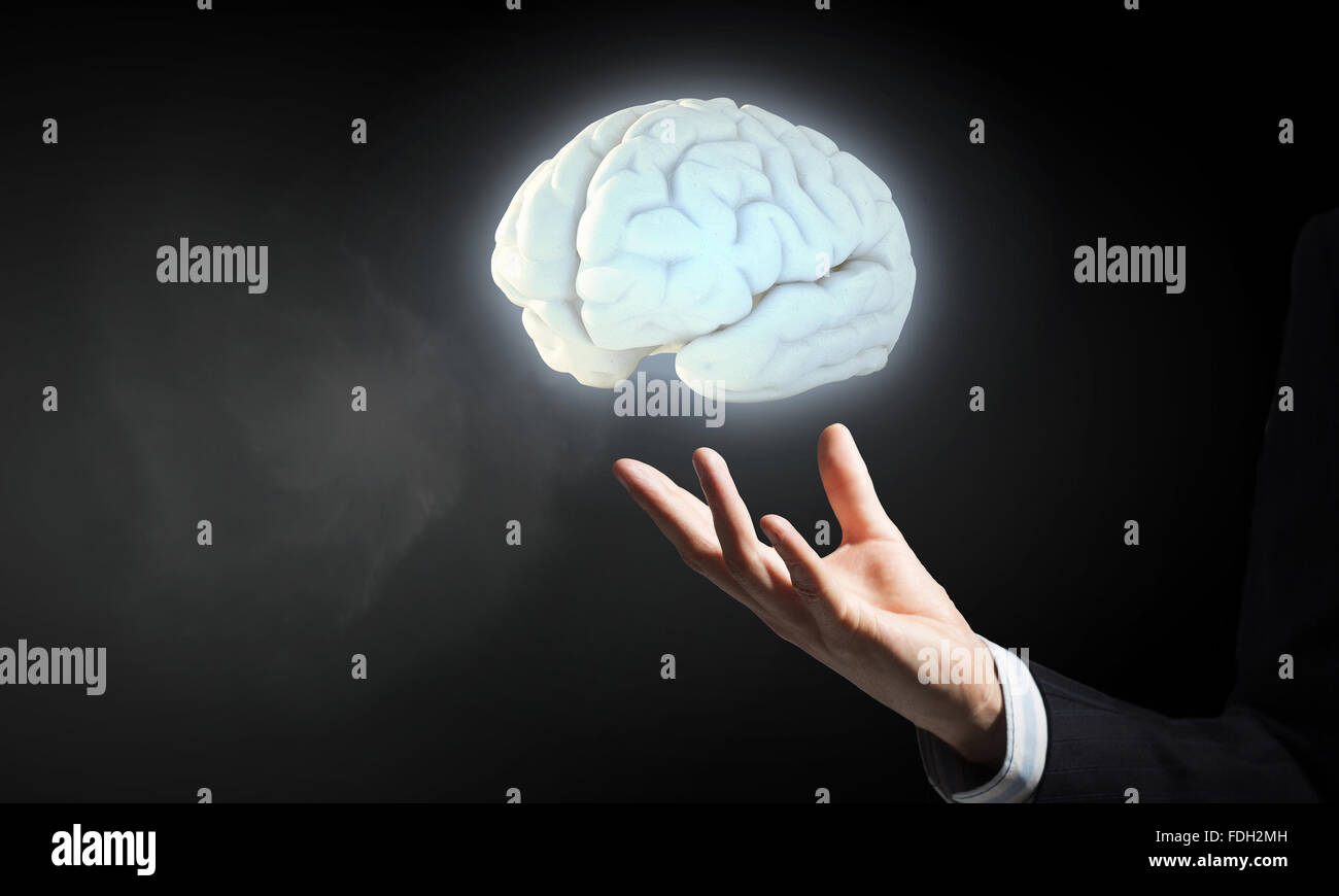 Hand holding human brain organ hi-res stock photography and images - Alamy