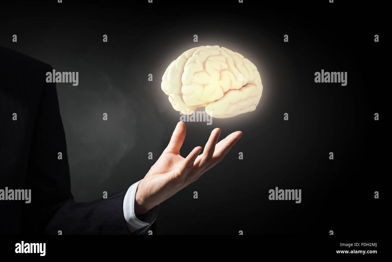 Hand holding human brain organ hi-res stock photography and images - Alamy