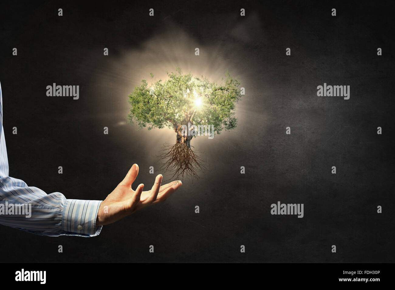 Businessman hand holding green tree in palm on dark background Stock ...
