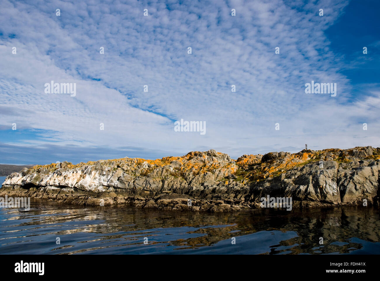 Island in Beagle Channel, Ushuaia, Tierra del Fuego, Patagonia ...