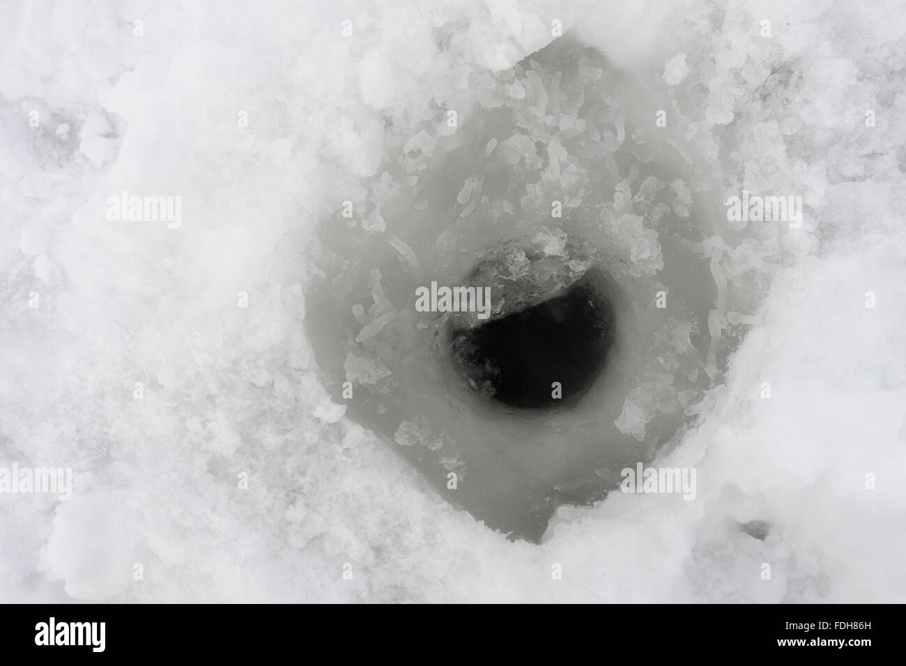 Ice hole hi-res stock photography and images - Alamy