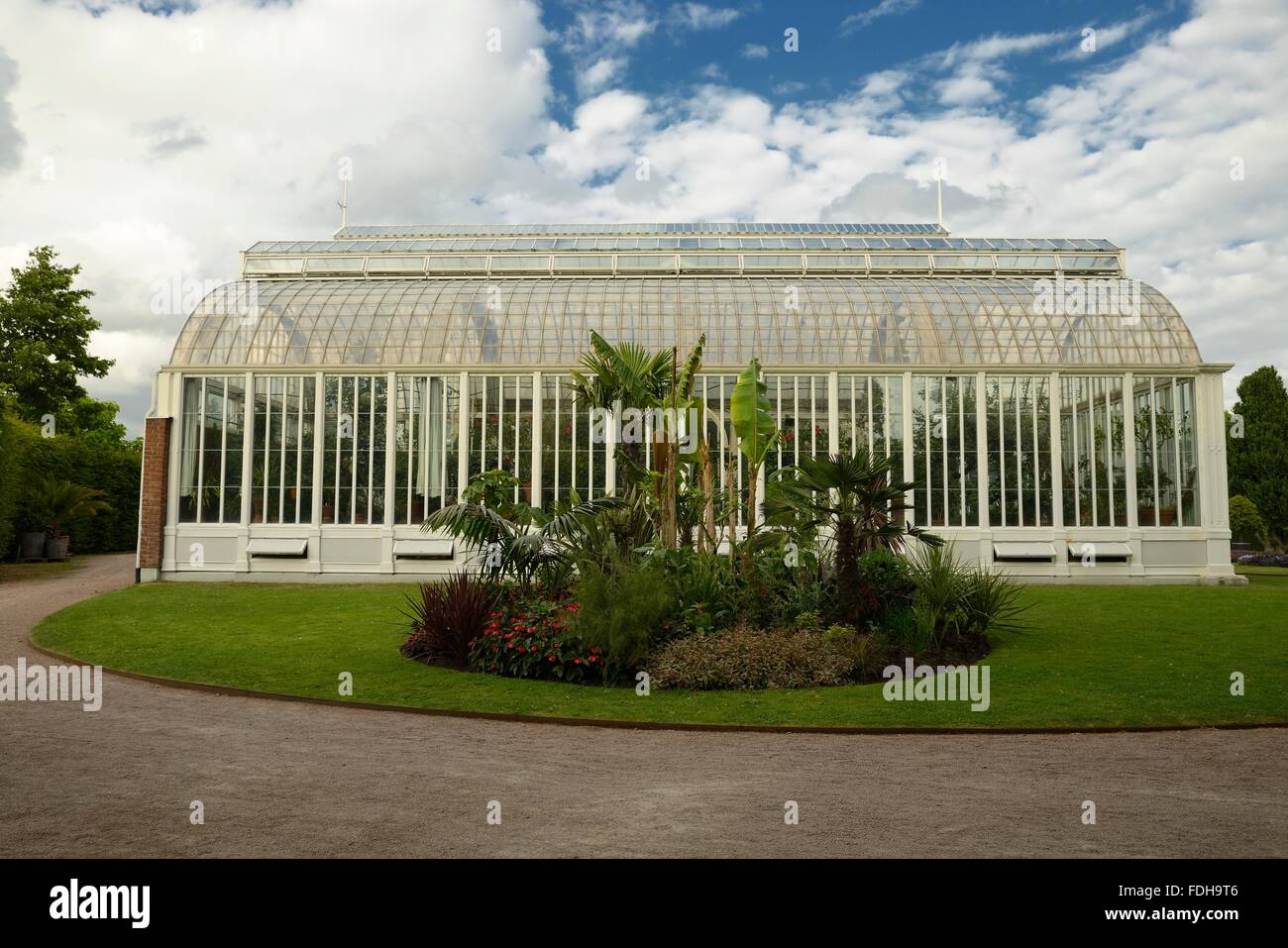 Greenhouse cultures hi-res stock photography and images - Alamy