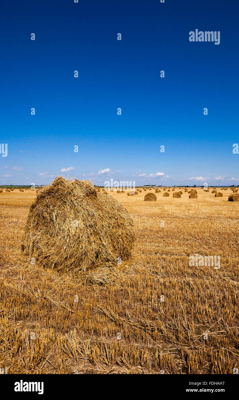 haystacks straw . closeup Stock Photo - Alamy