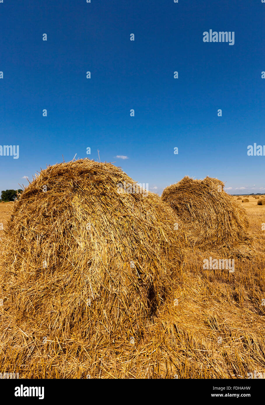 haystacks straw . summer Stock Photo - Alamy