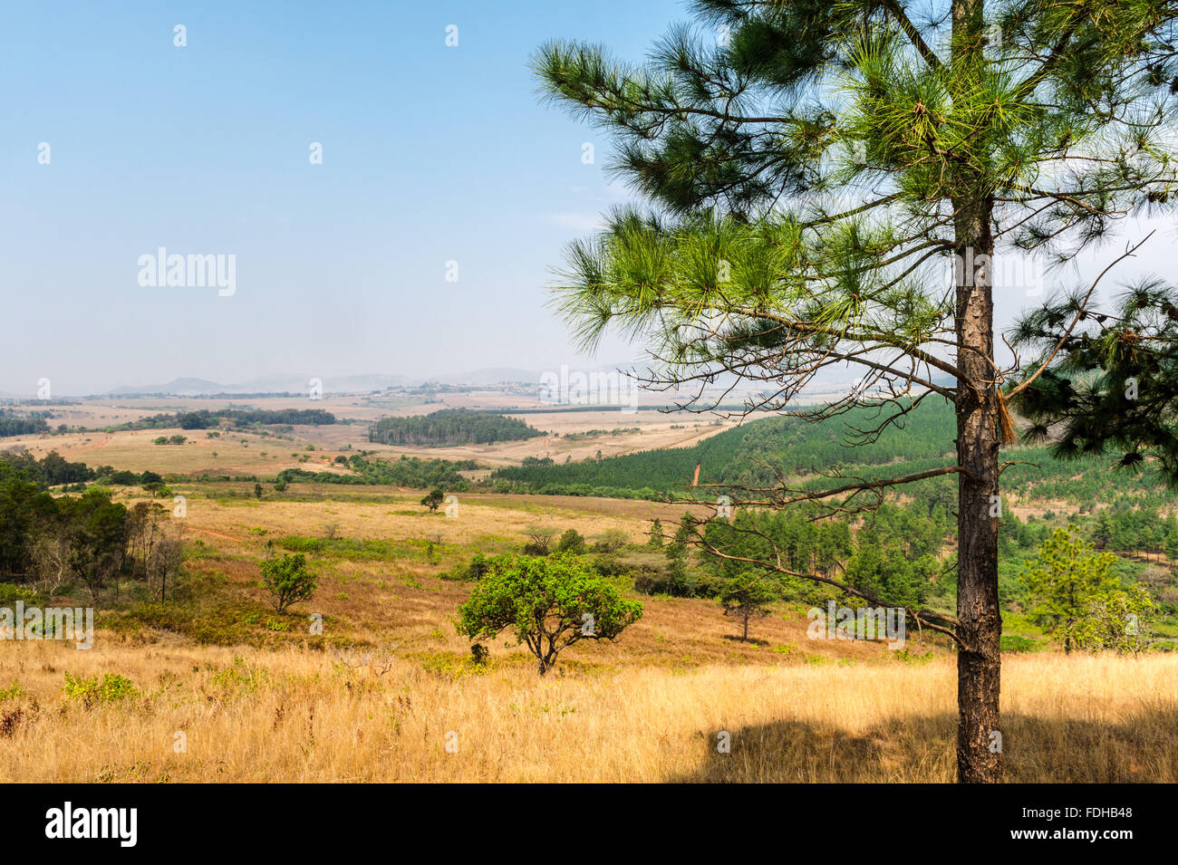 Landscape of the Mlilwane Wildlife Sanctuary in Swaziland, Africa Stock ...