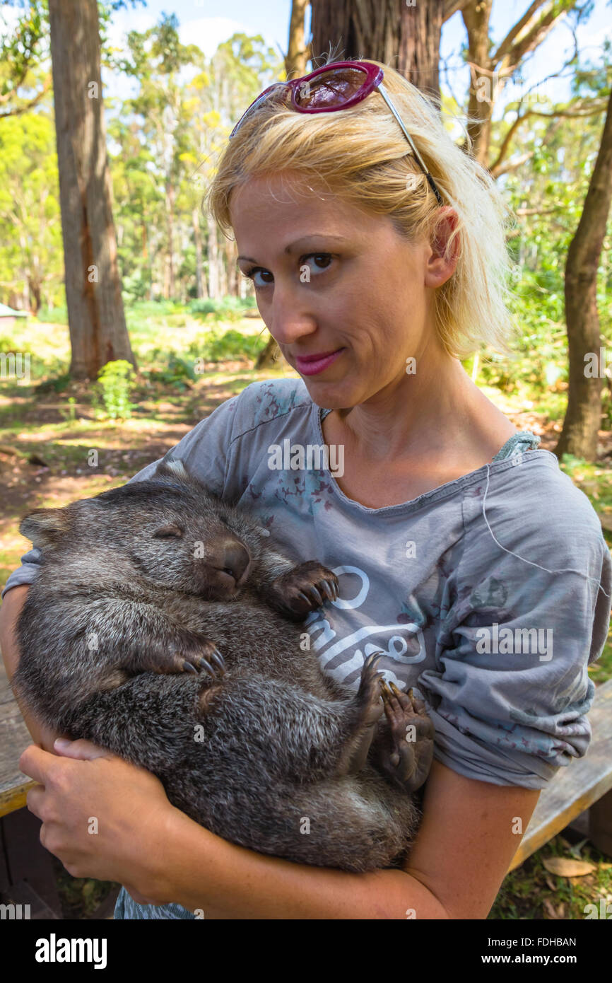 Little Wombat Holding Stock Photo - Alamy