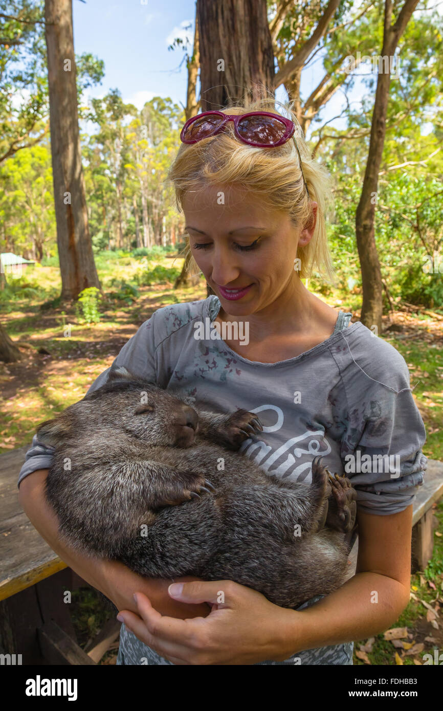 Little Wombat sleeping Stock Photo - Alamy