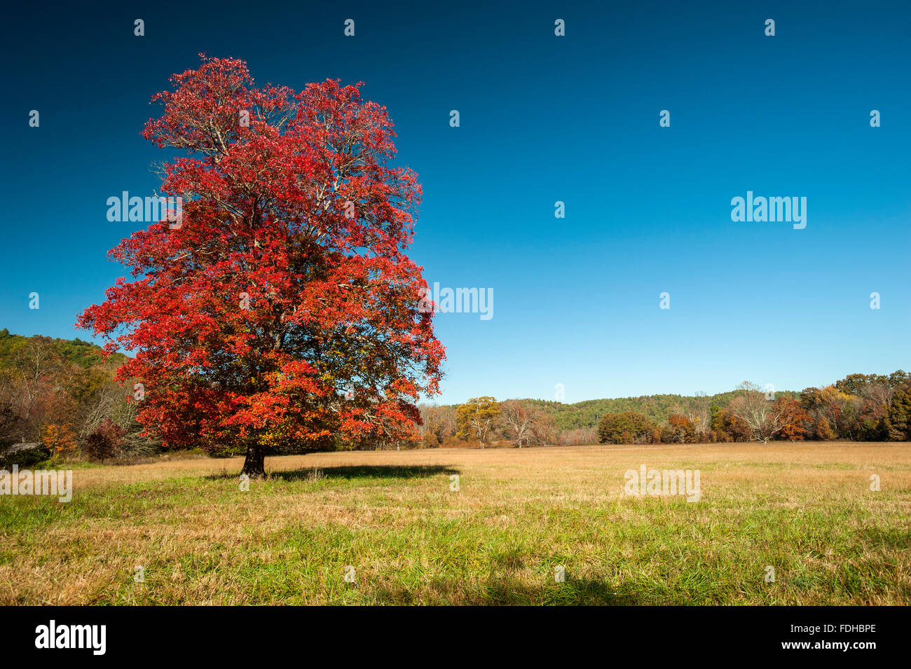 Cades Cove, isolated valley, Tennessee, The Great Smoky Mountains ...