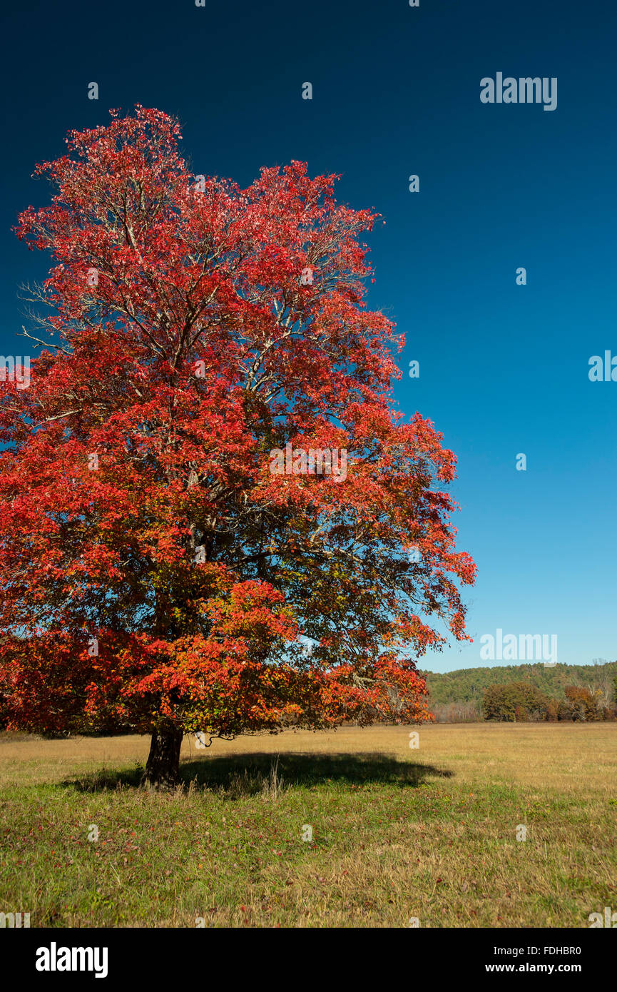 Cades Cove, isolated valley, Tennessee, The Great Smoky Mountains ...