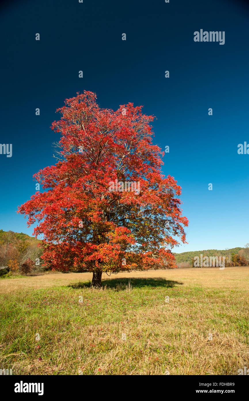 Cades Cove, isolated valley, Tennessee, The Great Smoky Mountains ...
