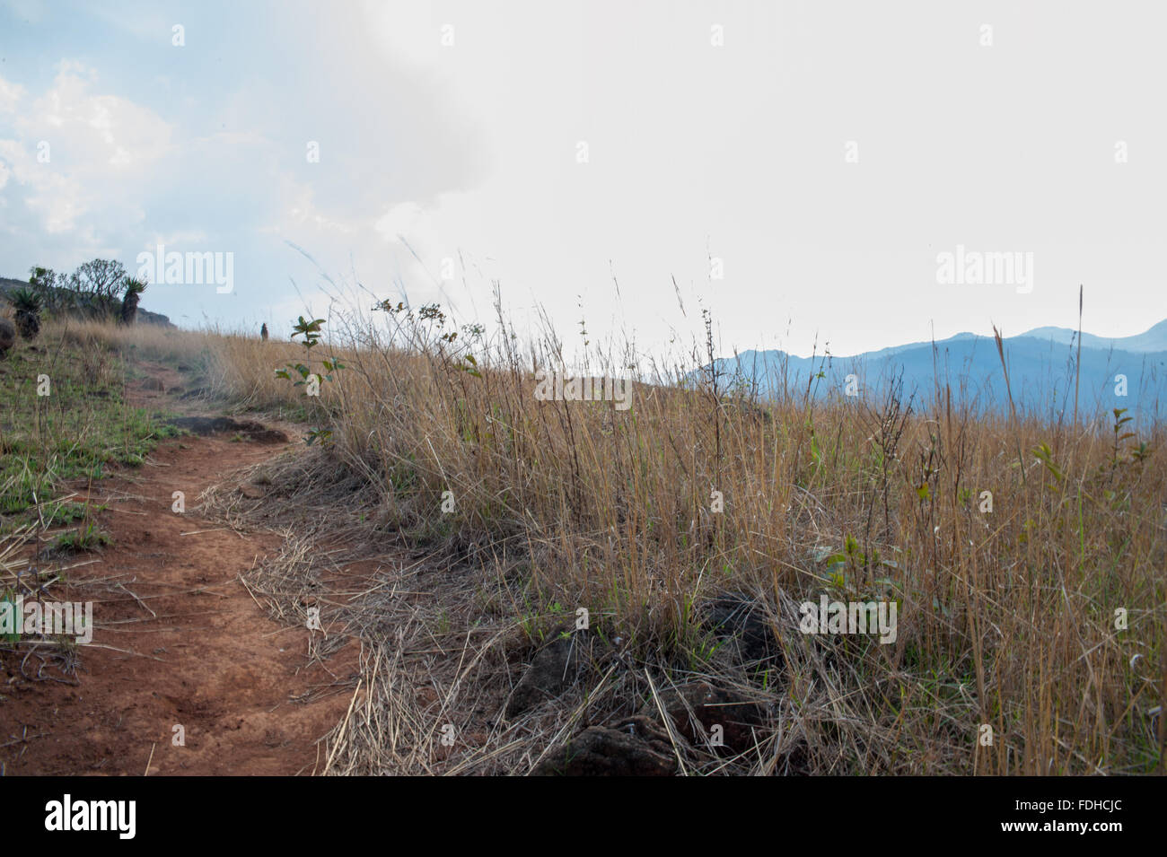 Mountains and fields at the Mlilwane Wildlife Sanctuary in Swaziland ...
