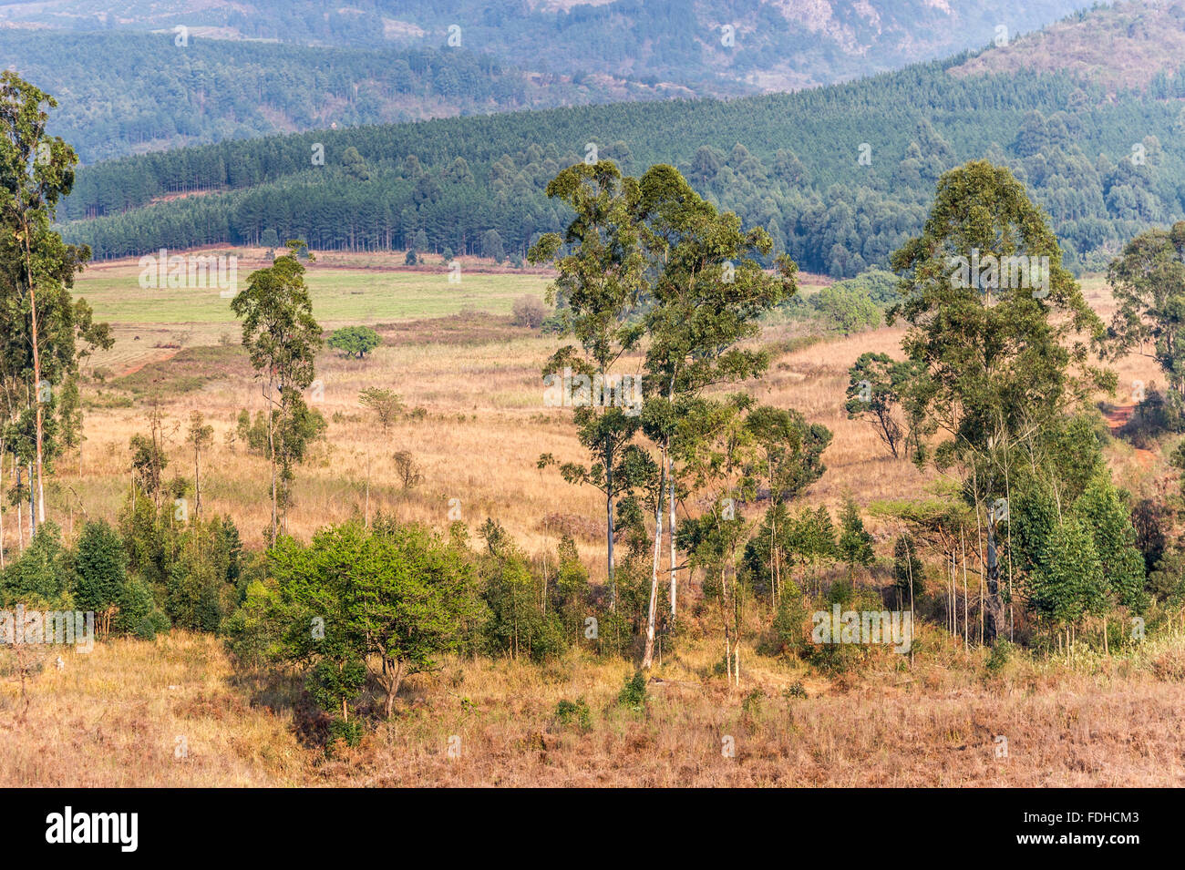 Landscape of the Mlilwane Wildlife Sanctuary in Swaziland, Africa Stock ...