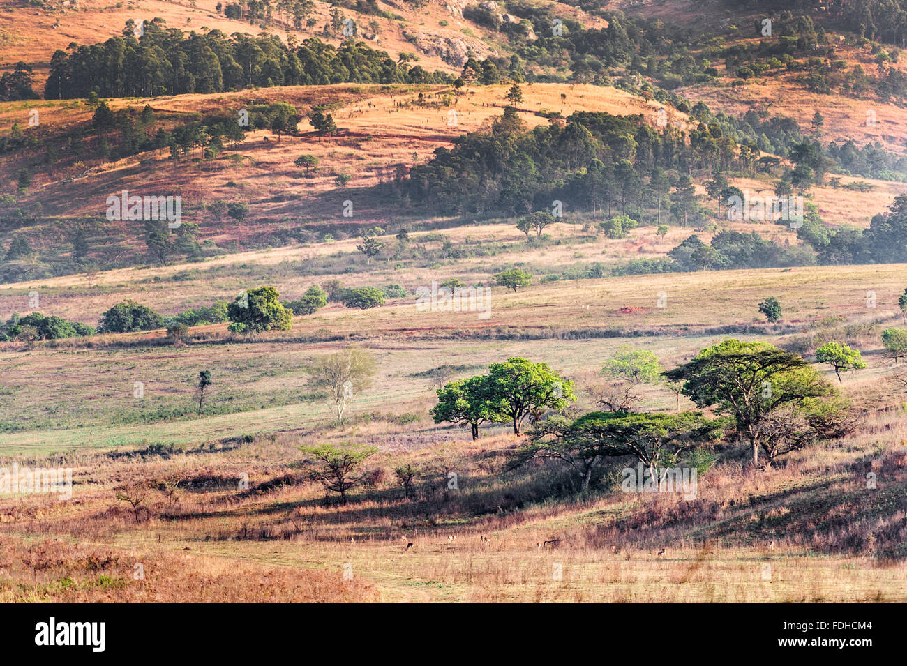 Landscape of the Mlilwane Wildlife Sanctuary in Swaziland, Africa Stock ...