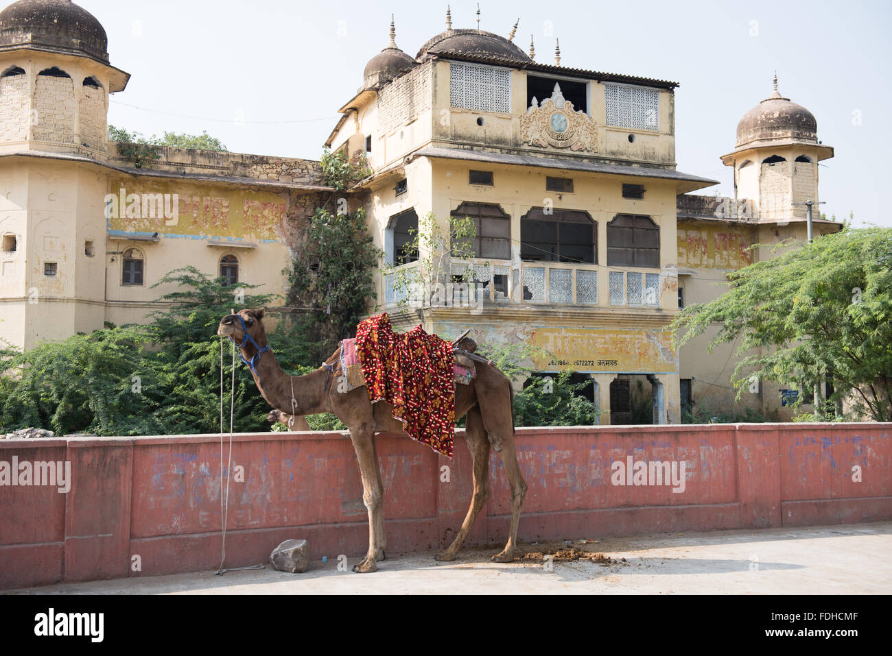 Mammal building hi-res stock photography and images - Alamy