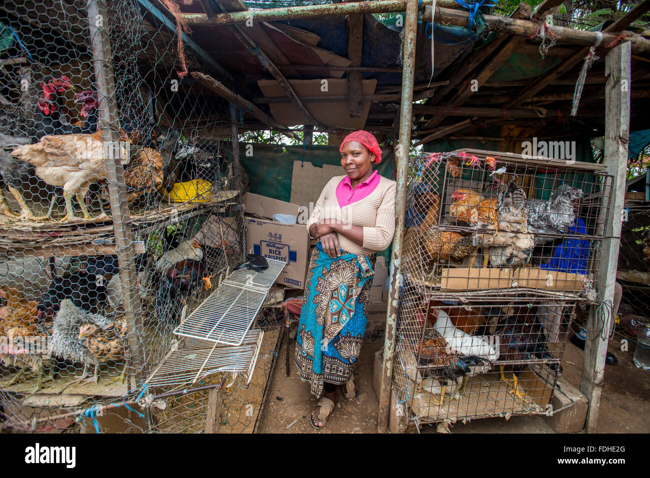 Woman selling chickens at the Manzini Wholesale Produce and Craft ...