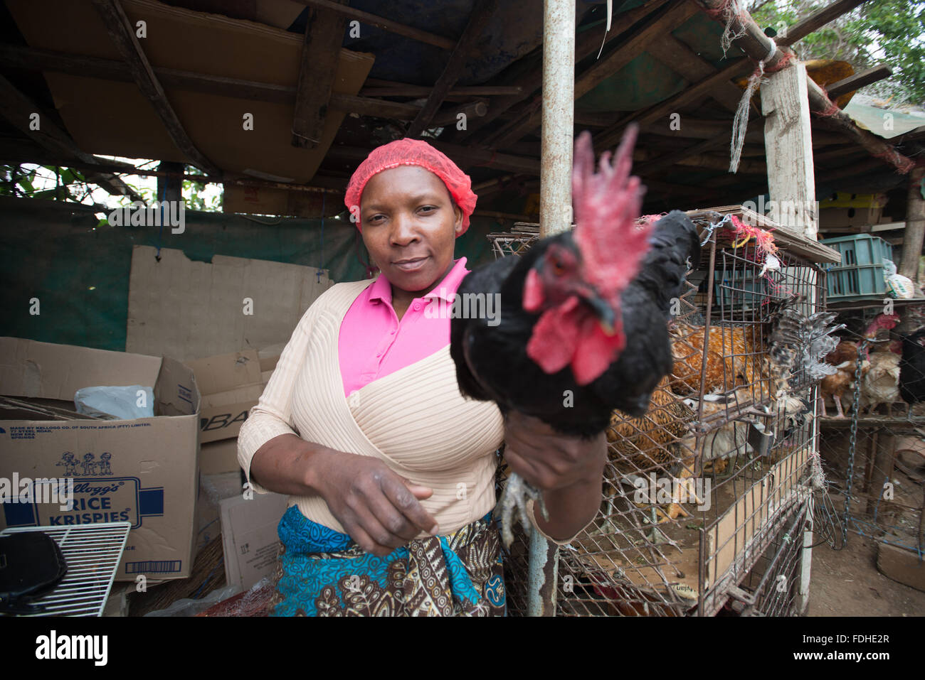 Woman selling chickens at the Manzini Wholesale Produce and Craft Market in Swaziland, Africa ...